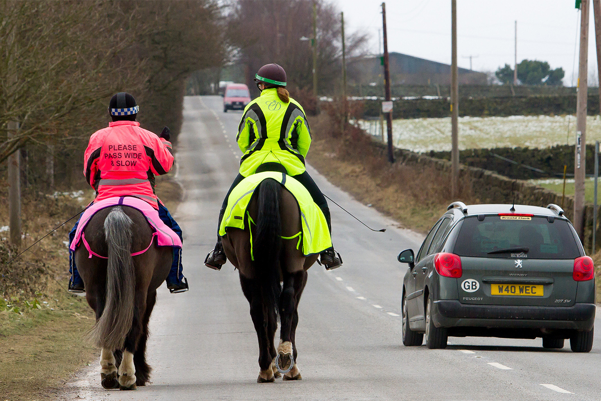 Horse Accidents On The Road: No Win No Fee Compensation Solicitors